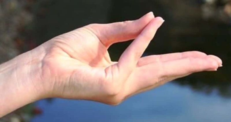 10 Powerful Yoga Mudras: Types and Health Benefits | Lifegram
