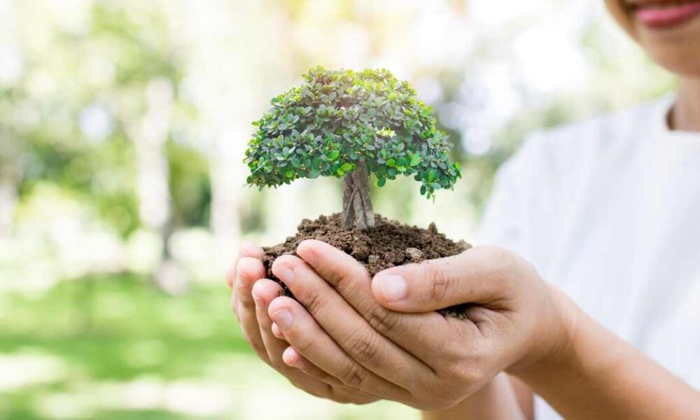 10 Ways To Go Green - Sustainable Lifestyle Changes - LIFEGRAM - Live ...
